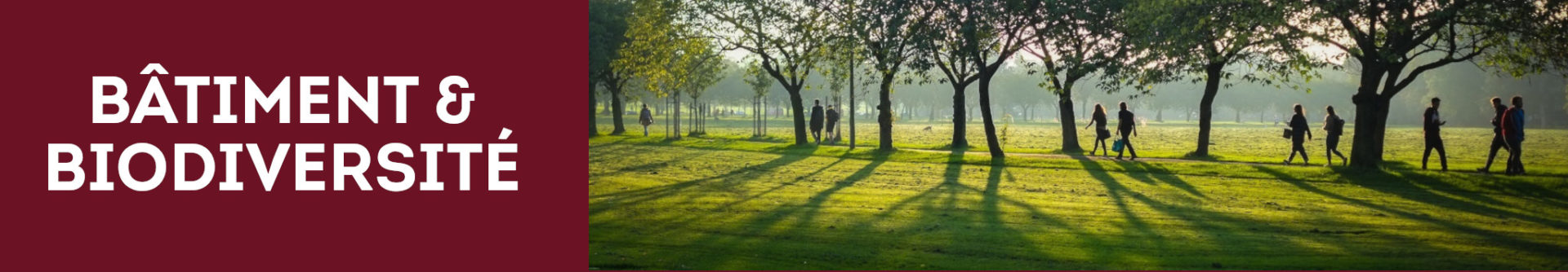 Bâtiment et biodiversité : quelles stratégies adopter ? - Ghara Formation