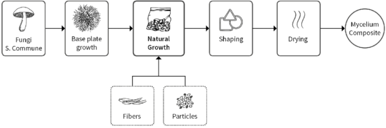 Mycélium & Architecture - Ghara Formation